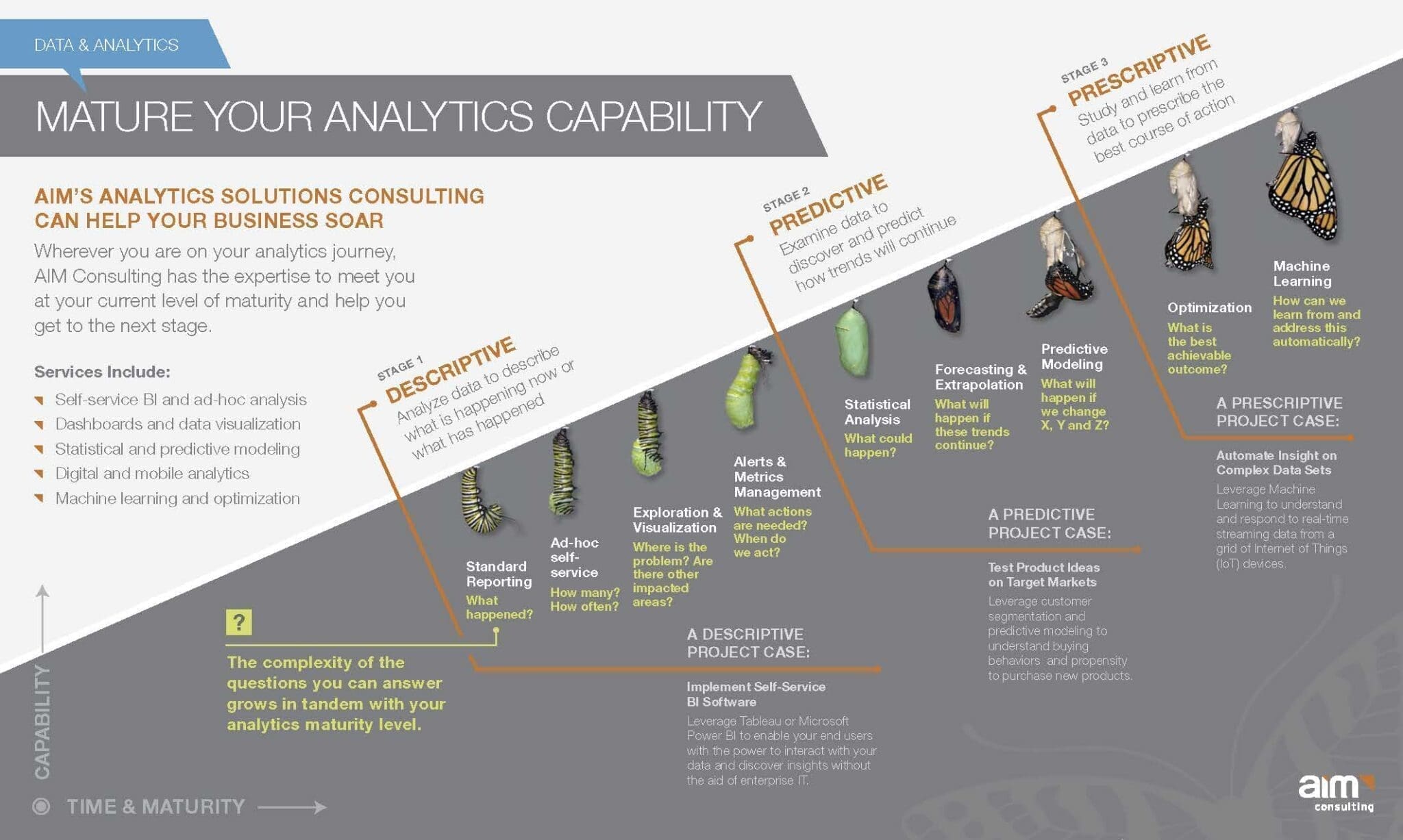Infographic: Understanding the Levels of Data Analytics Maturity | AIM ...